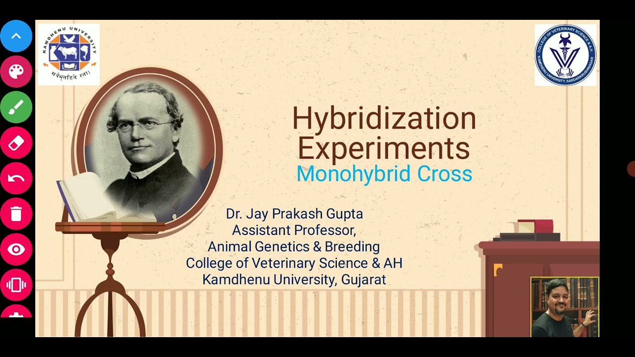 Mendel's Plants Hybridization Experiment (Monohybrid Cross) - YouTube