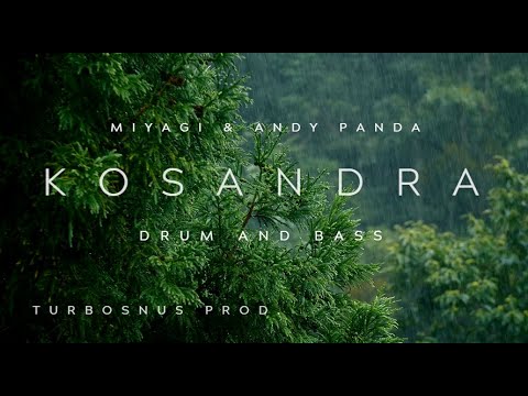KOSANDRA Drum and Bass #remix #miyagi #andypanda - YouTube