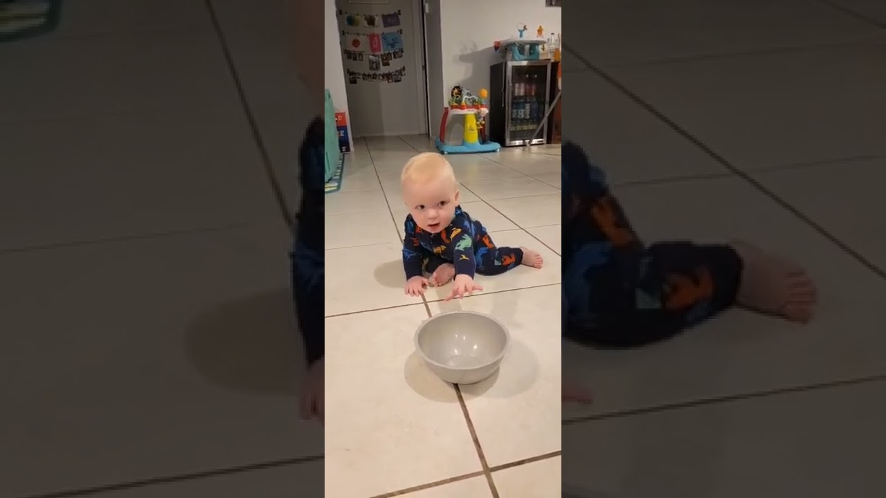 'Show Him How to Do it, Kahlua!' Paralyzed Dog Teaches Baby How to ...