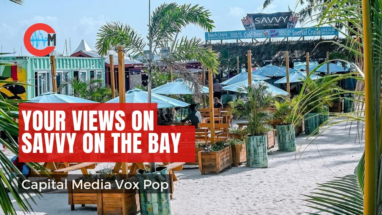 Your views on "Savvy on the Bay" - YouTube