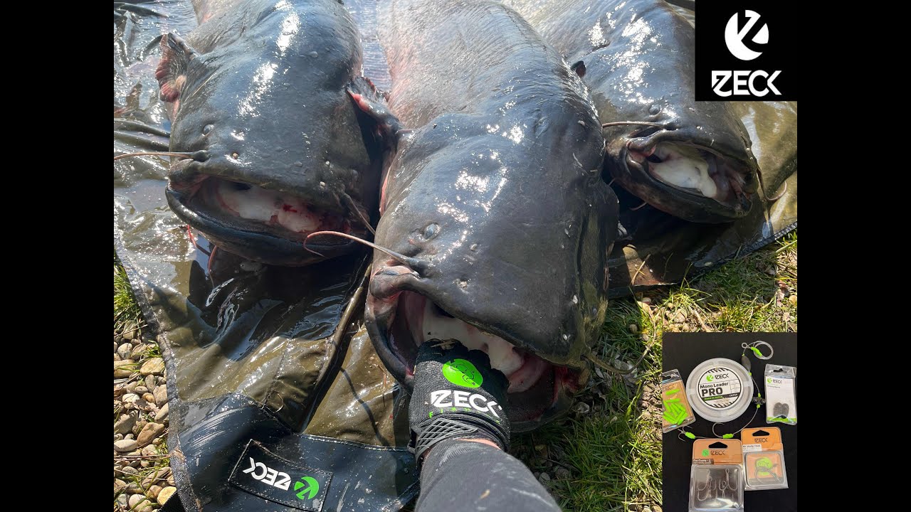 Raul Mures.Pescuit la somn plantat in sezon rece.8,8 grade - YouTube