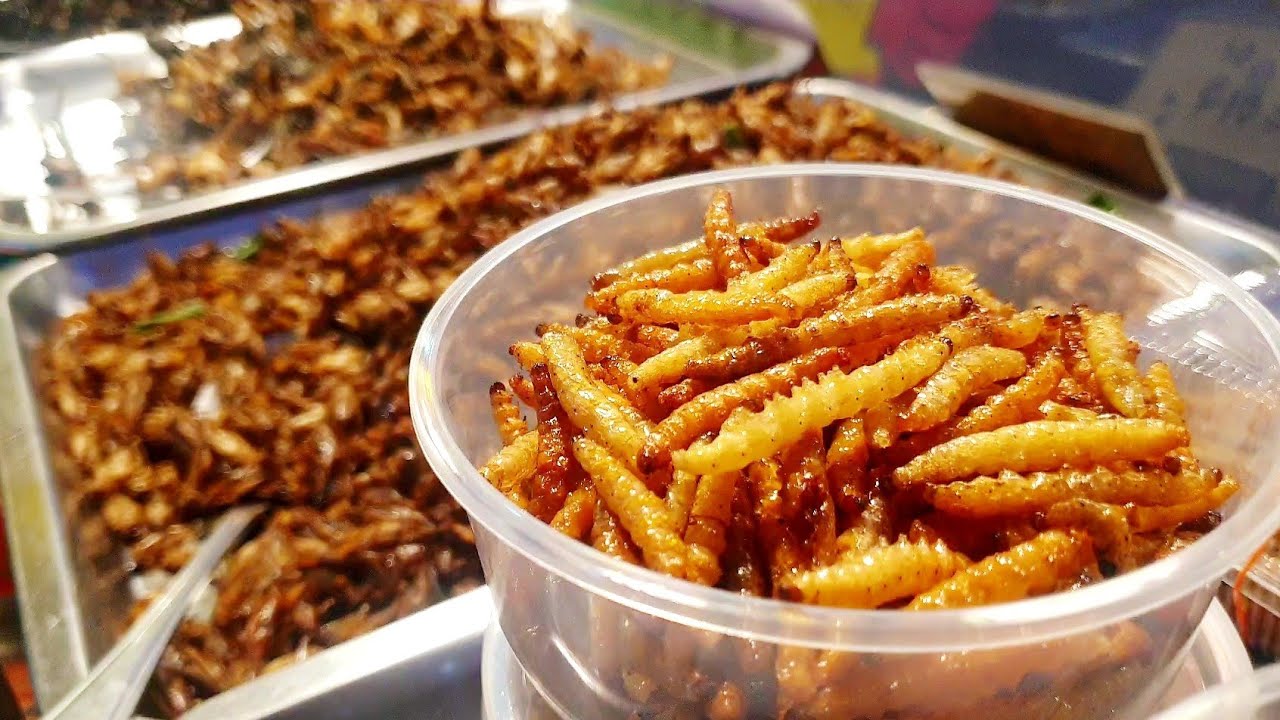 Fried Bugs Frogs Insects Worms Unique Strange Thai Food Bangkok ...