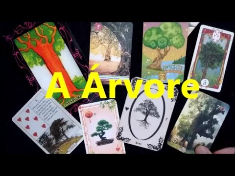 Significados - Carta nº 5 - A Árvore - 7 de Copas - YouTube