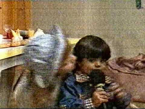 Pitoco quando jovem no programa Eliana - YouTube