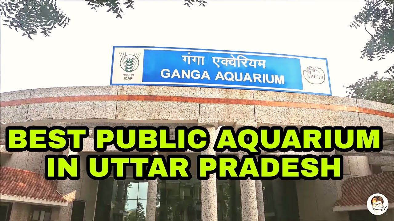 Ganga Aquarium | NBFGR (NATIONAL BUREAU OF FISH GENETIC RESOURCE) - YouTube