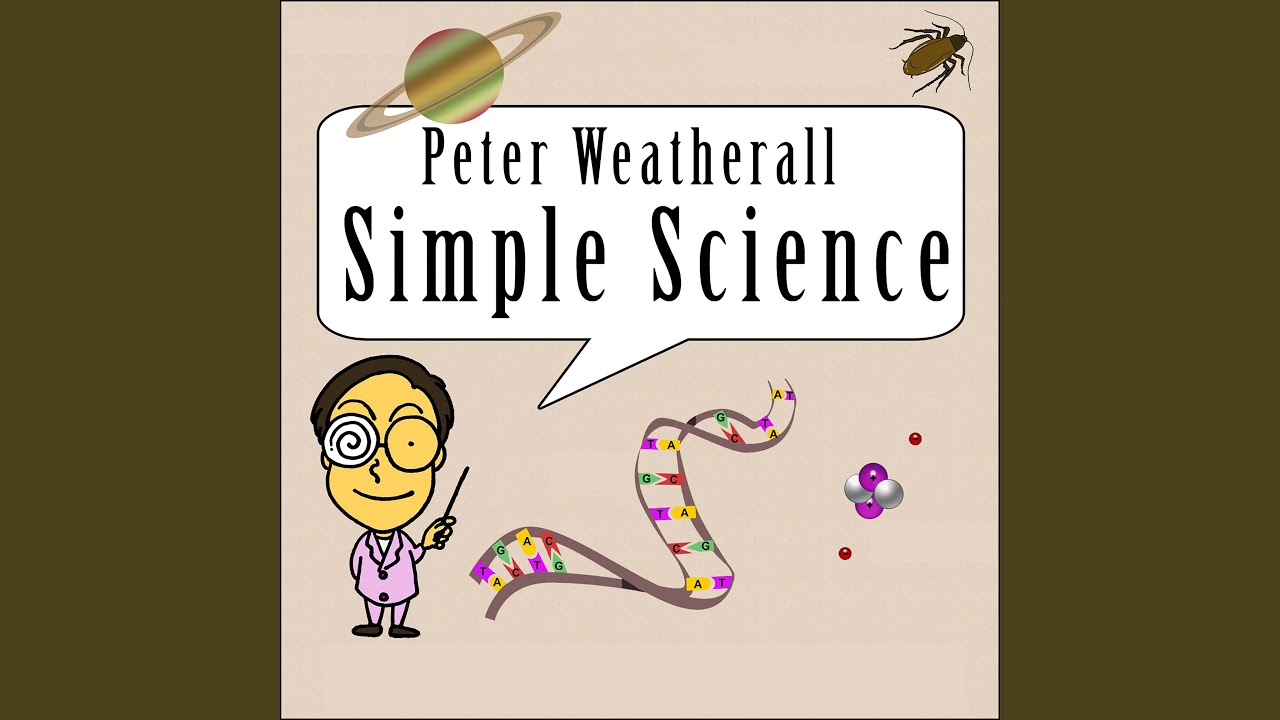 Photosynthesis Song - YouTube