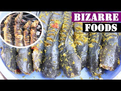 Grilled Catfish/Amazing  Catfish  Recipes Episode #1| Bizzare Food in Asia