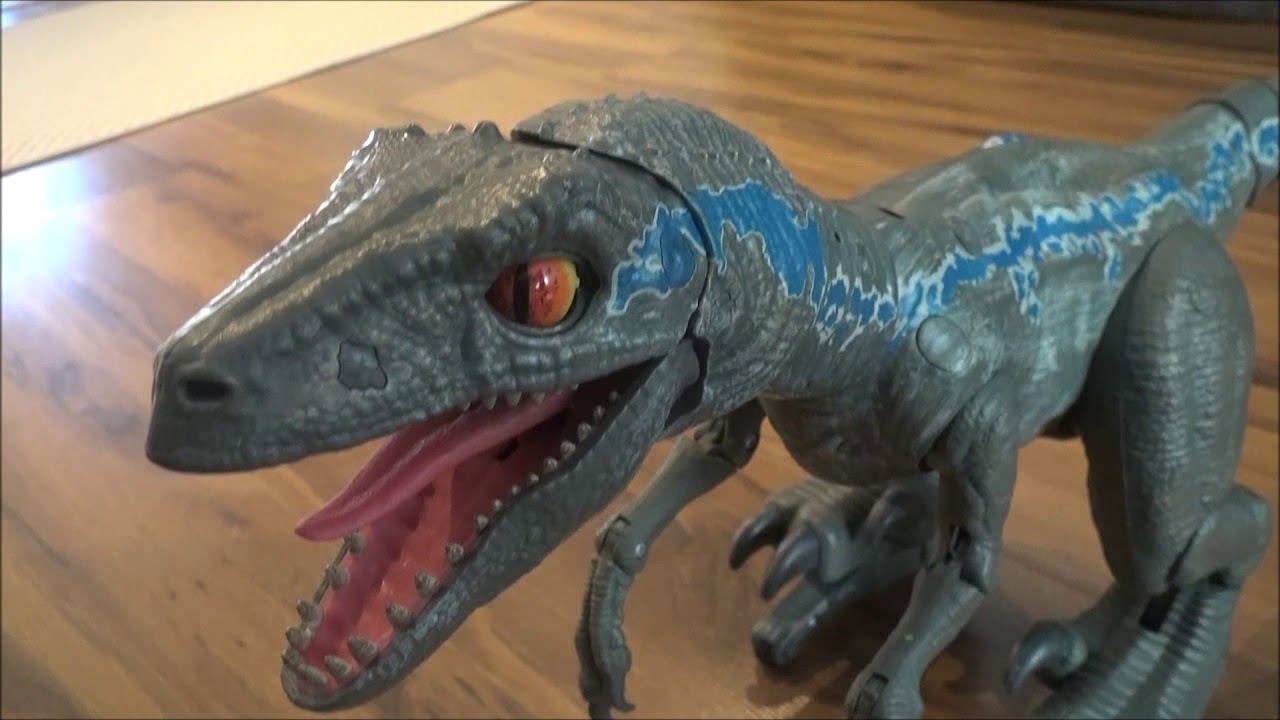 Alpha training blue - YouTube