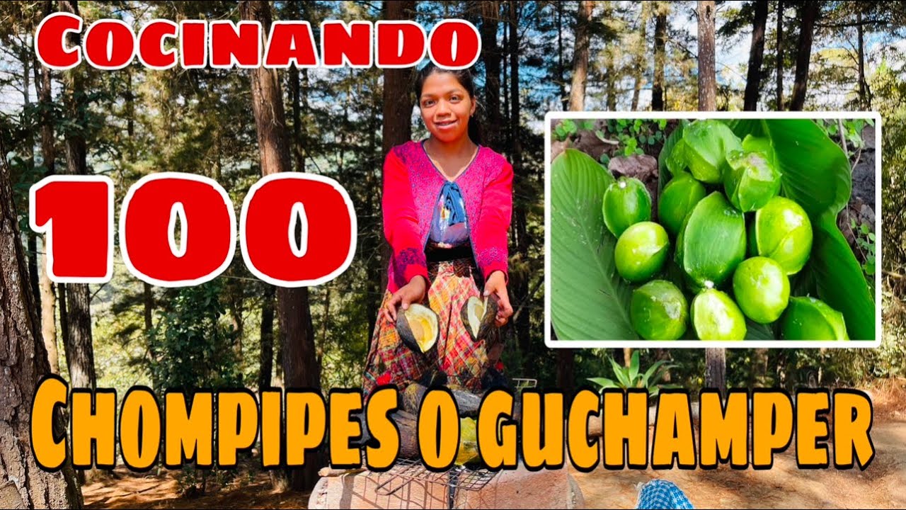 COMO COCINAR CHOMPIPES EN GUATEMALA ||UNA DELICIA DEL CAMPO - YouTube