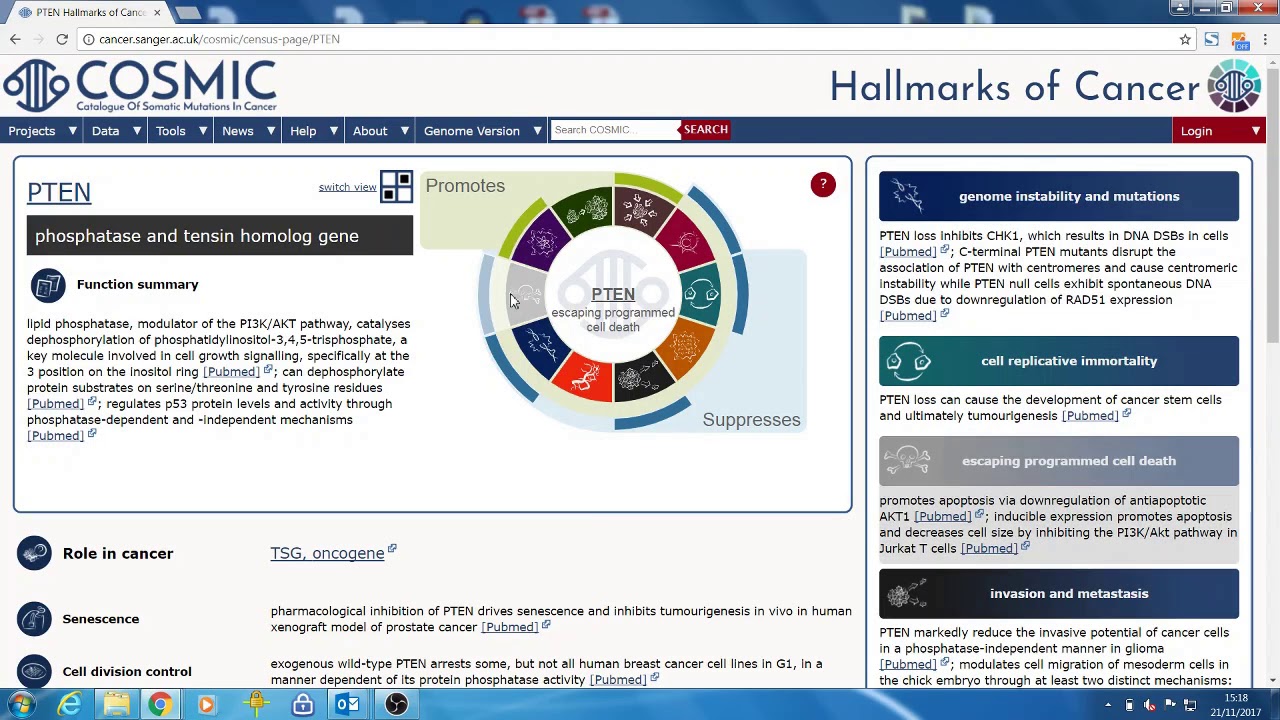 COSMIC Hallmarks of Cancer - YouTube