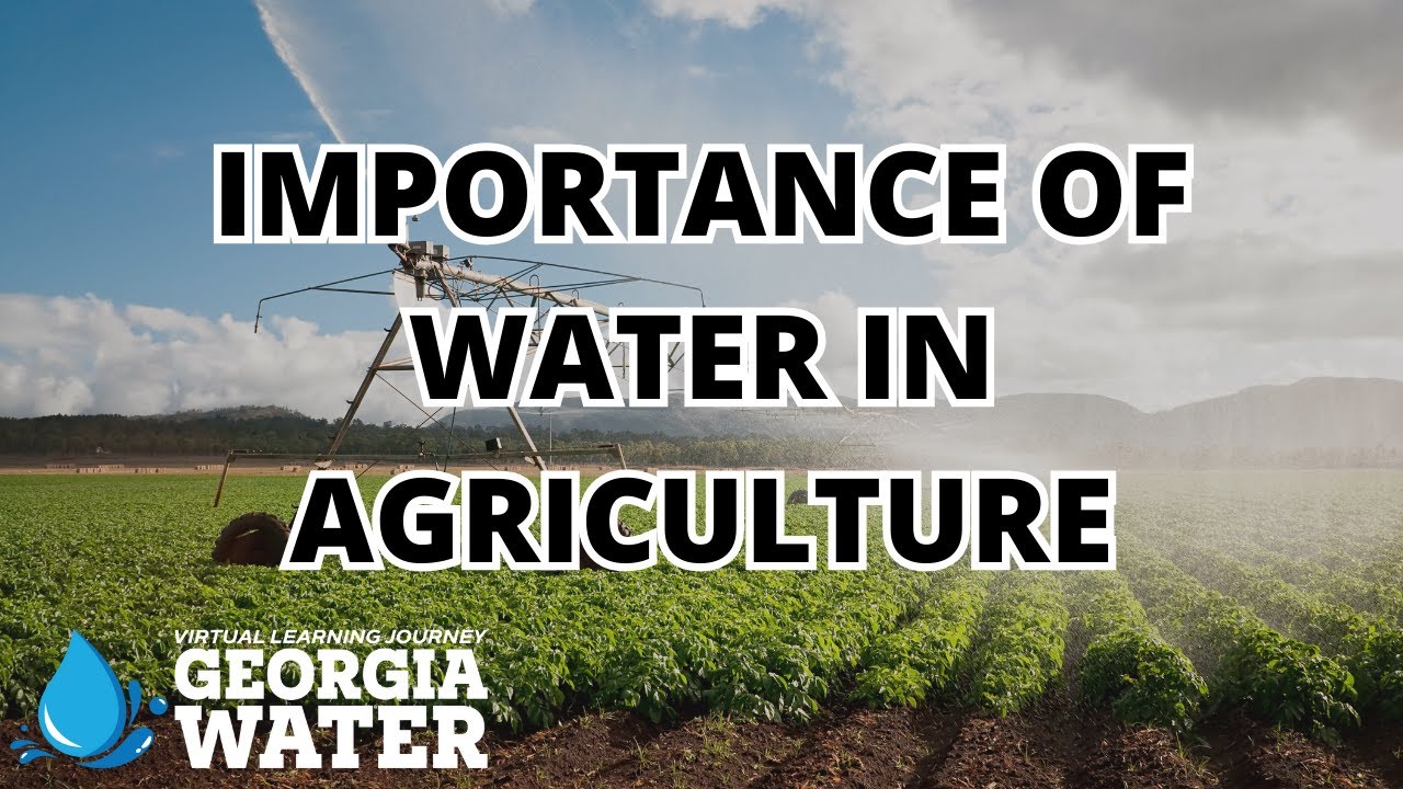 How water impacts agriculture | Georgia Water Virtual Learning Journey ...