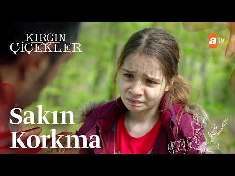Büşra kaçarken ormanda bir yabancı ile karşılaşıyor... - Kırgın Çiçekler 81. Bölüm