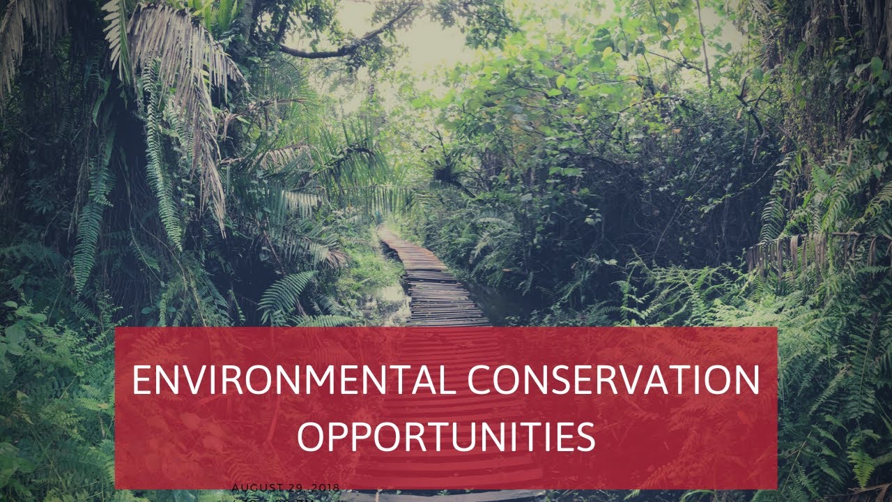 Environmental Conservation Opportunities - YouTube