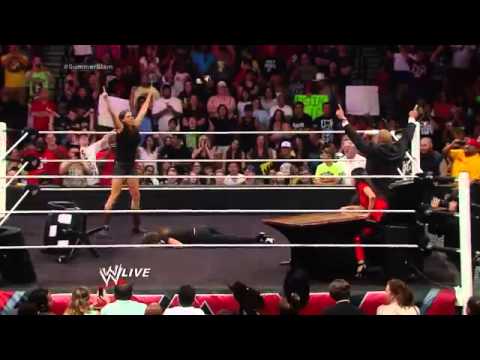 WWE Brie Bella vs Stephanie McMahon on SummerSlam