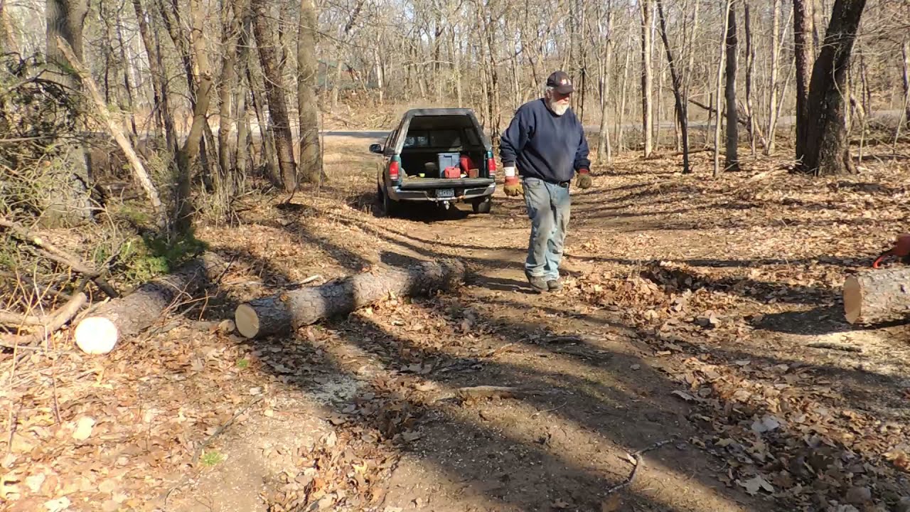 Jack Pine Log for the Harbor Freight Sawmill - YouTube