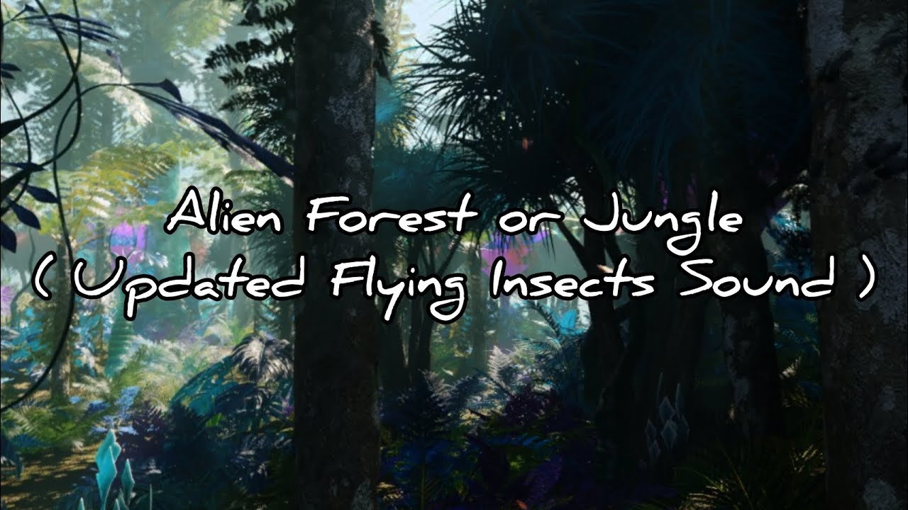 Alien Forest or Jungle ( Updated Flying Insects Sound ) - YouTube