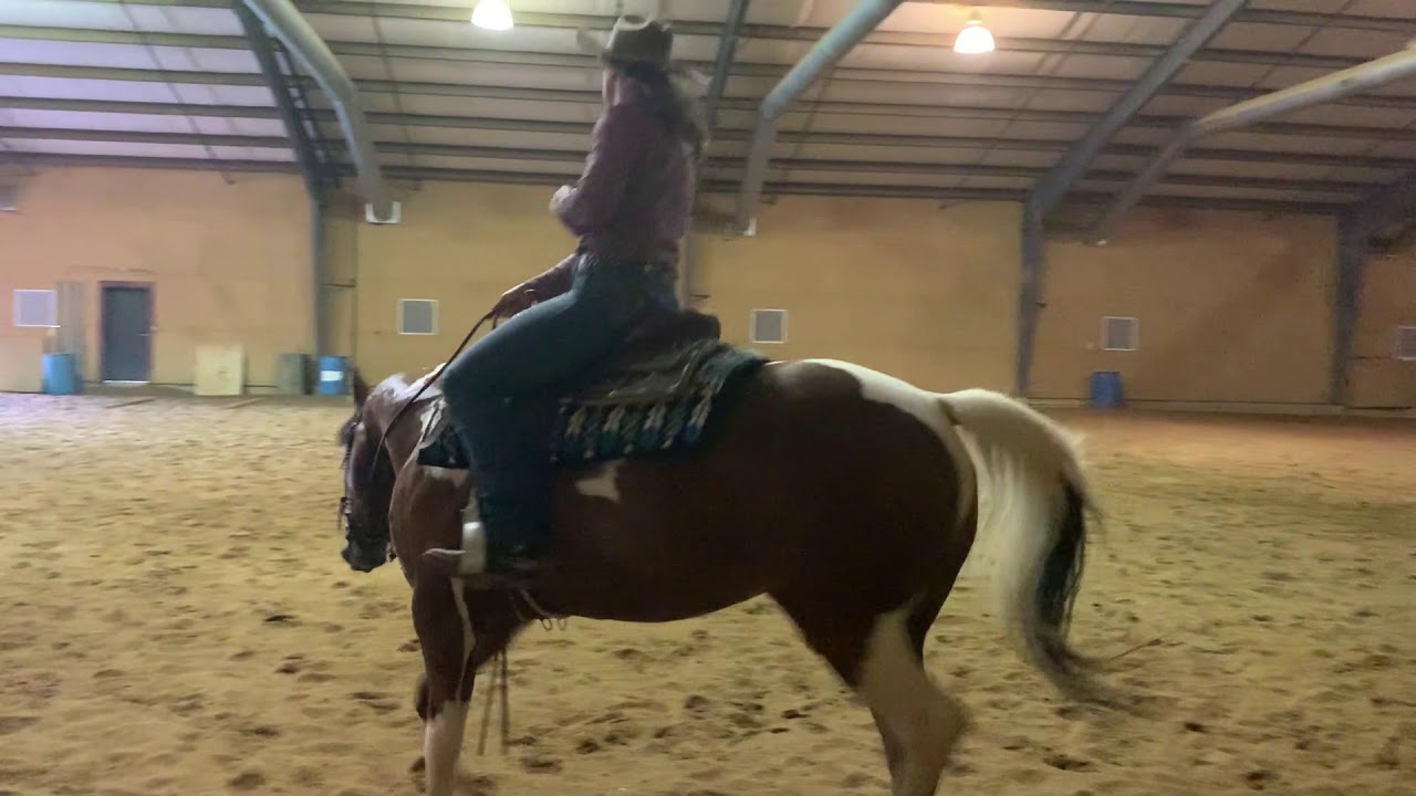 Ranch Riding Green: Sweet Hollywood Star - YouTube