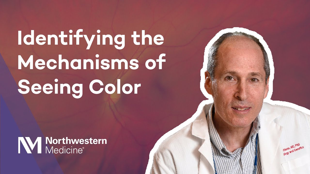 Identifying the Mechanisms of Seeing Color with Jeremy Nathans, MD, PhD ...