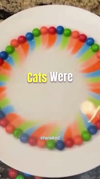 Random Cat Facts That Will Blow Your Mind!! #shorts #catfacts - YouTube