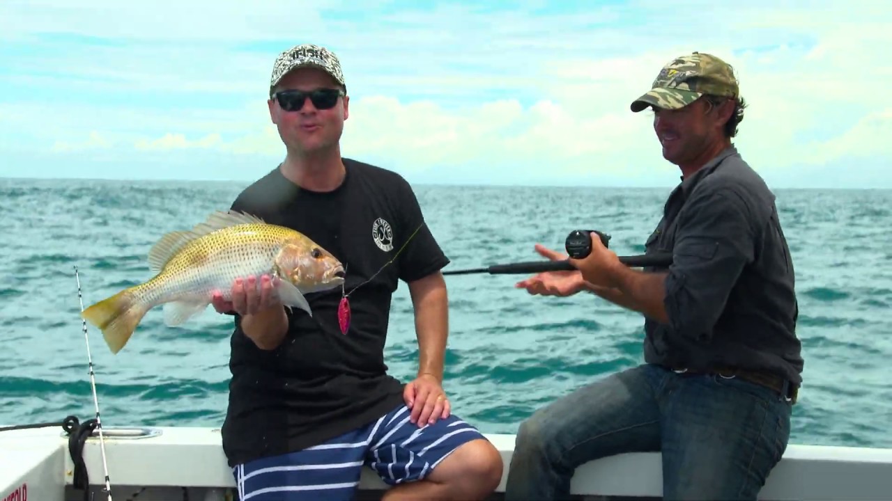 IFISH - FISH EVERYWHERE! (Crazy Darwin Jigging Session) - YouTube