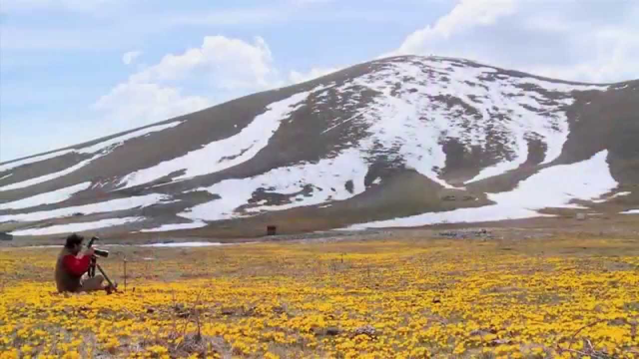 Rodopi Mountain Range National Park / Εθνικό Πάρκο Οροσειράς Ροδόπης ...