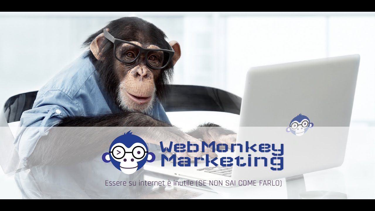 Corso Web Monkey Marketing - quello che dicono di noi è da non credere ...