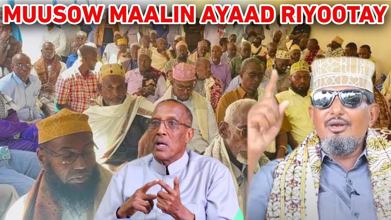 Daawo Odayaasha Beesha Dhulbahante Oo Caawa Afka Furtay Muusow Daarood ...