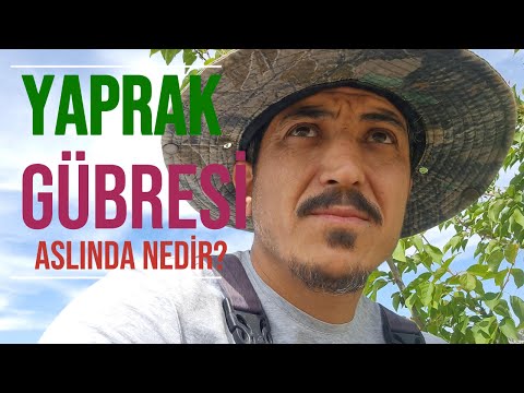YAPRAK GÜBRESİ ASLINDA NEDİR?