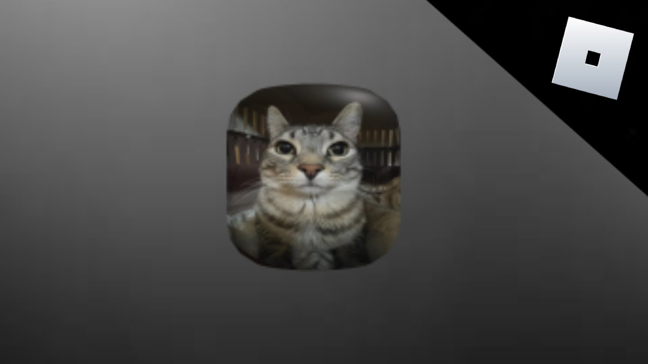 [FREE ITEM] How to get the Cat DYNAMIC HEAD | Roblox - YouTube