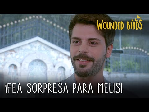 ¡Fea sorpresa para Melis! | Wounded Birds (Yaralı Kuşlar) Capítulo 73