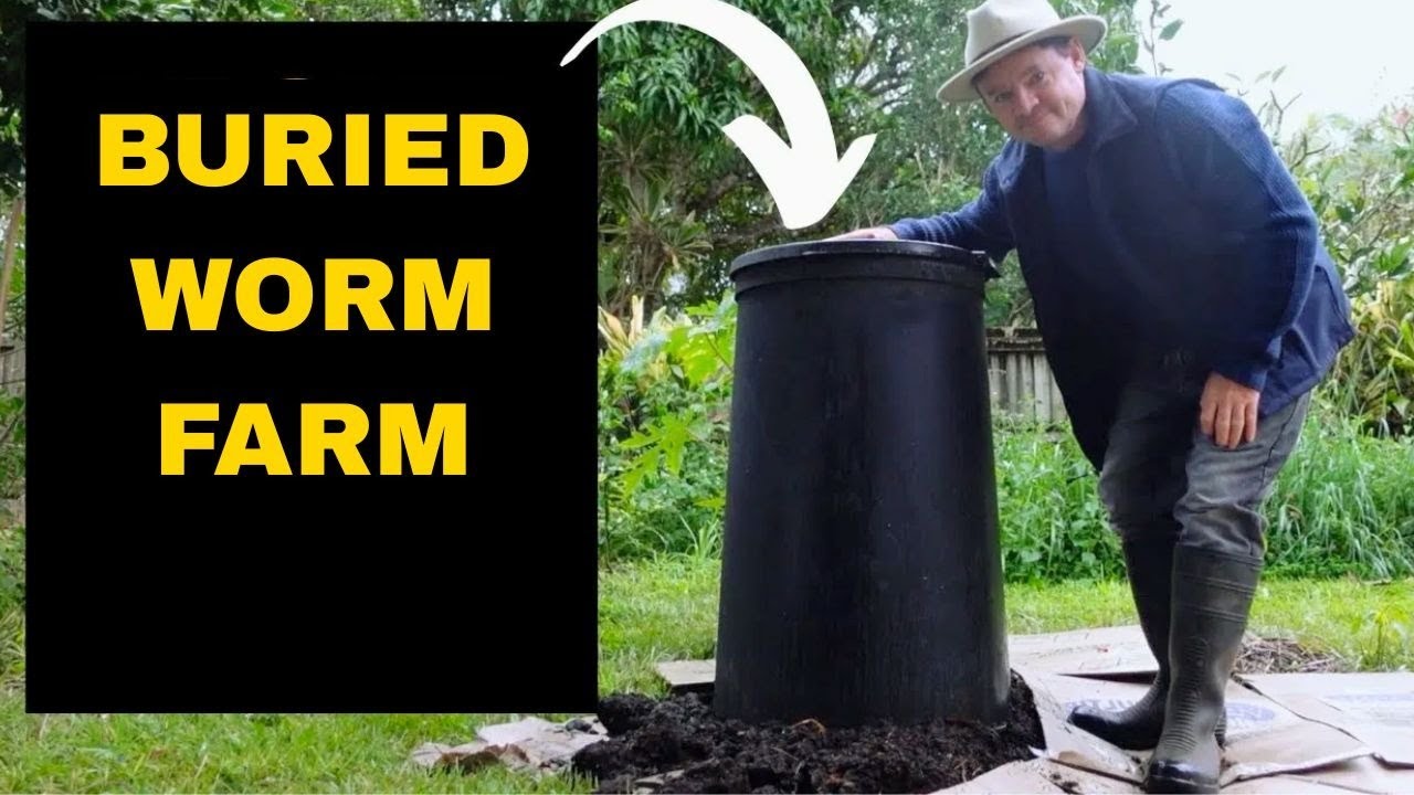 WORM FARMING METHOD ABOVE GROUND! - YouTube