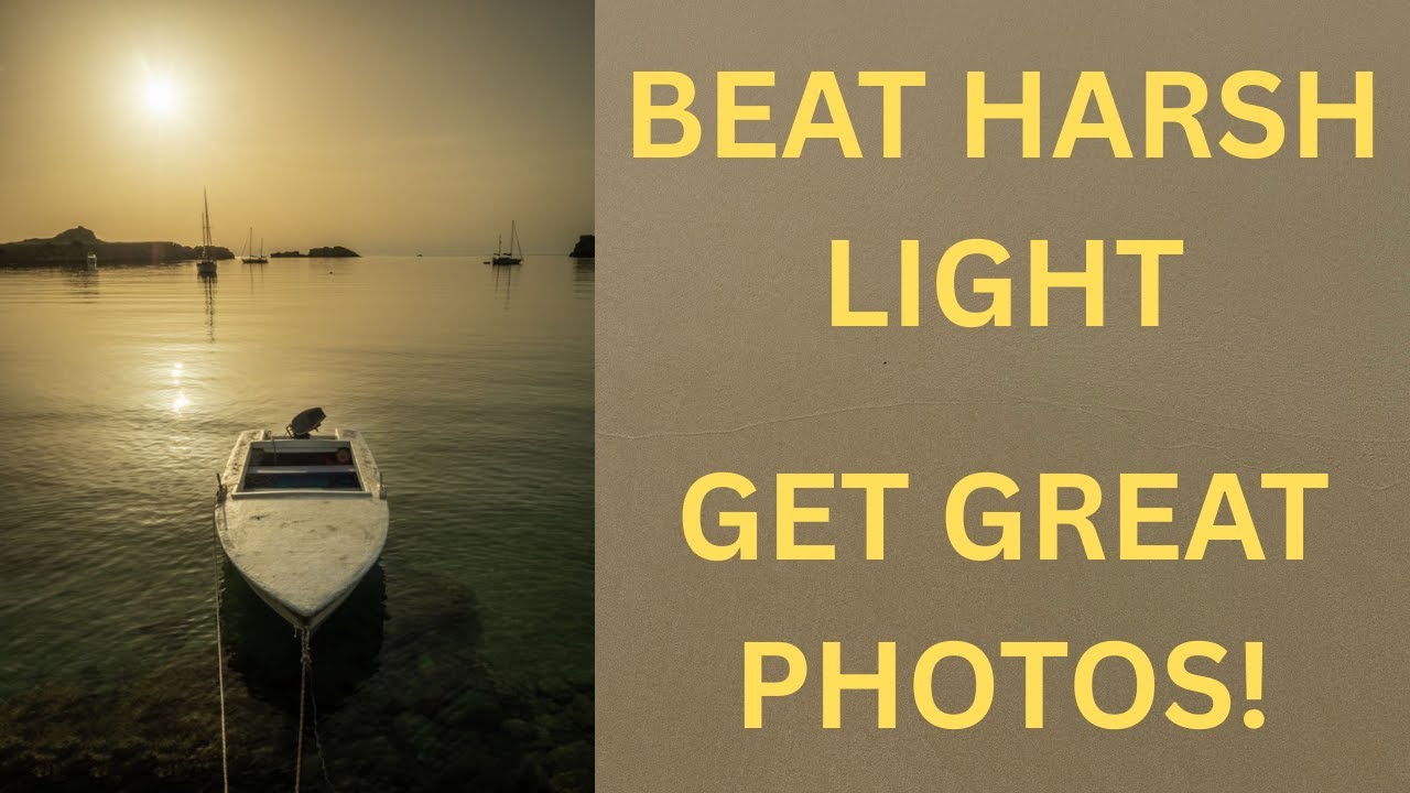 Direct Sunlight Photos: 5 Tips for Stunning Shots (No More Harsh Light ...