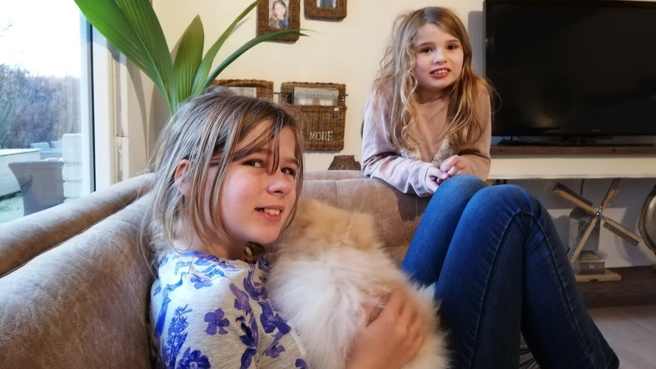 Karla vil Fluffy lidt mere🐕😊Nyt til dværgpapegøjerne🐦🐦🥰 - YouTube