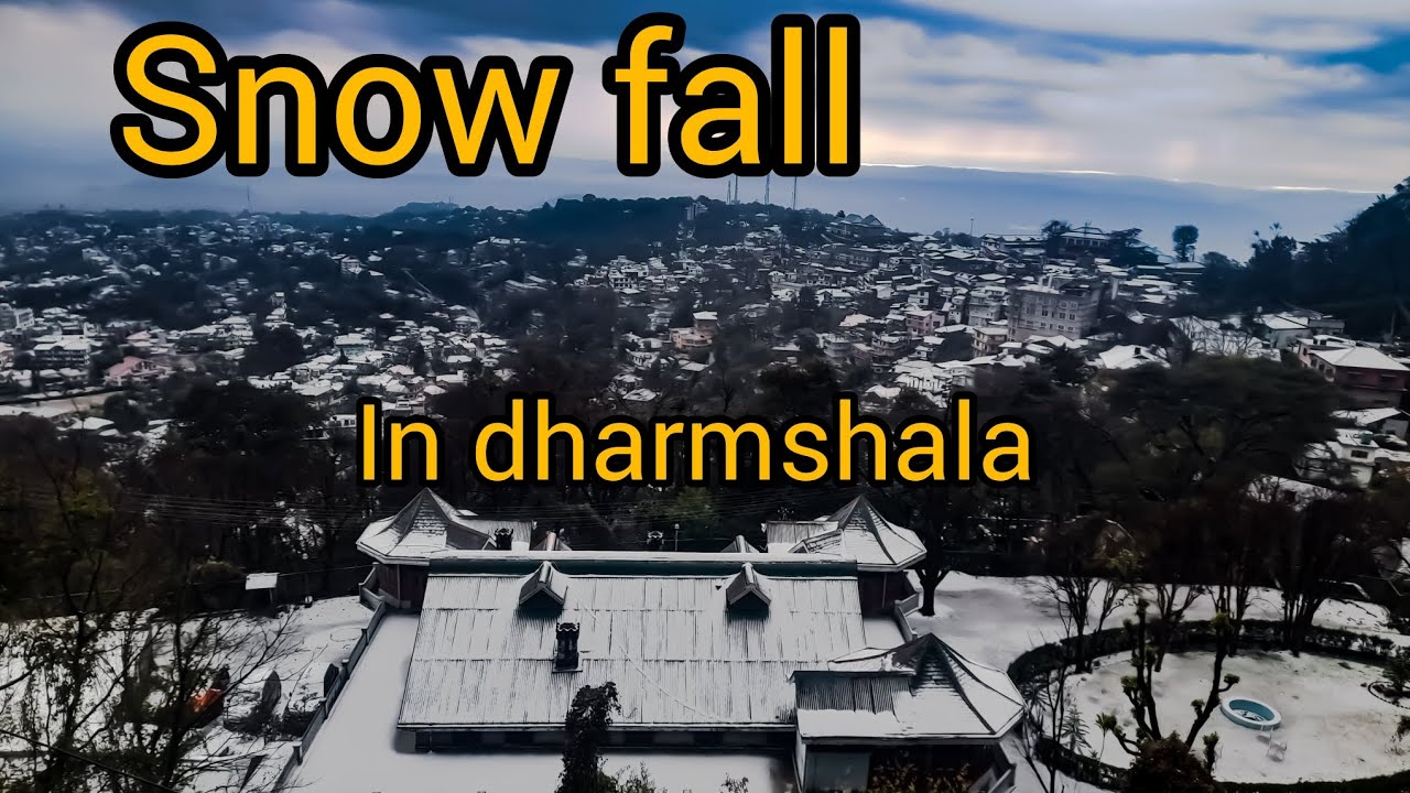 snow fall in Dharamshala// snow in HIMACHAL PRADESH// ️ SNOWfall in ...