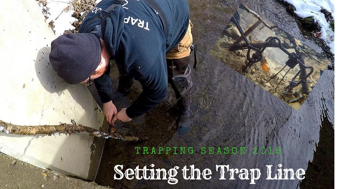 TRAPPING SEASON 2018 | Setting the Trap Line - YouTube
