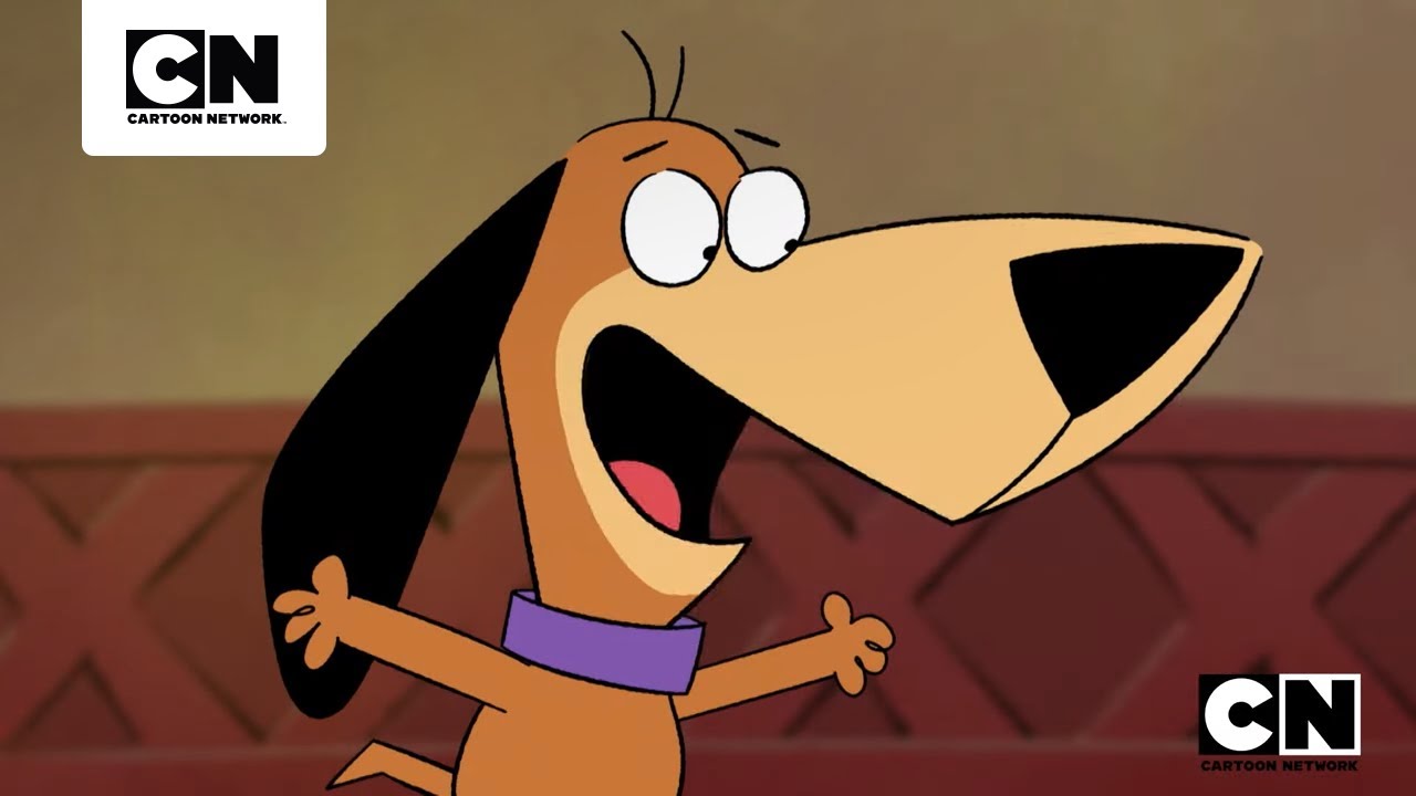 DULCES SUEÑOS | JELLYSTONE | CARTOON NETWORK - YouTube