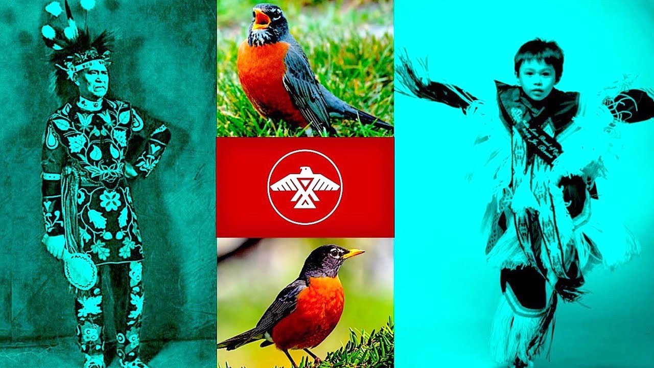 Opichi: The Robin - An Anishinaabe Legend - YouTube