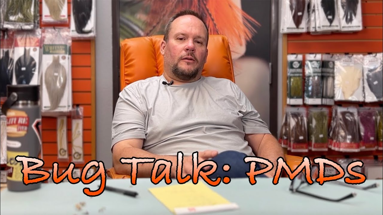 Bug Talk: PMDs - YouTube