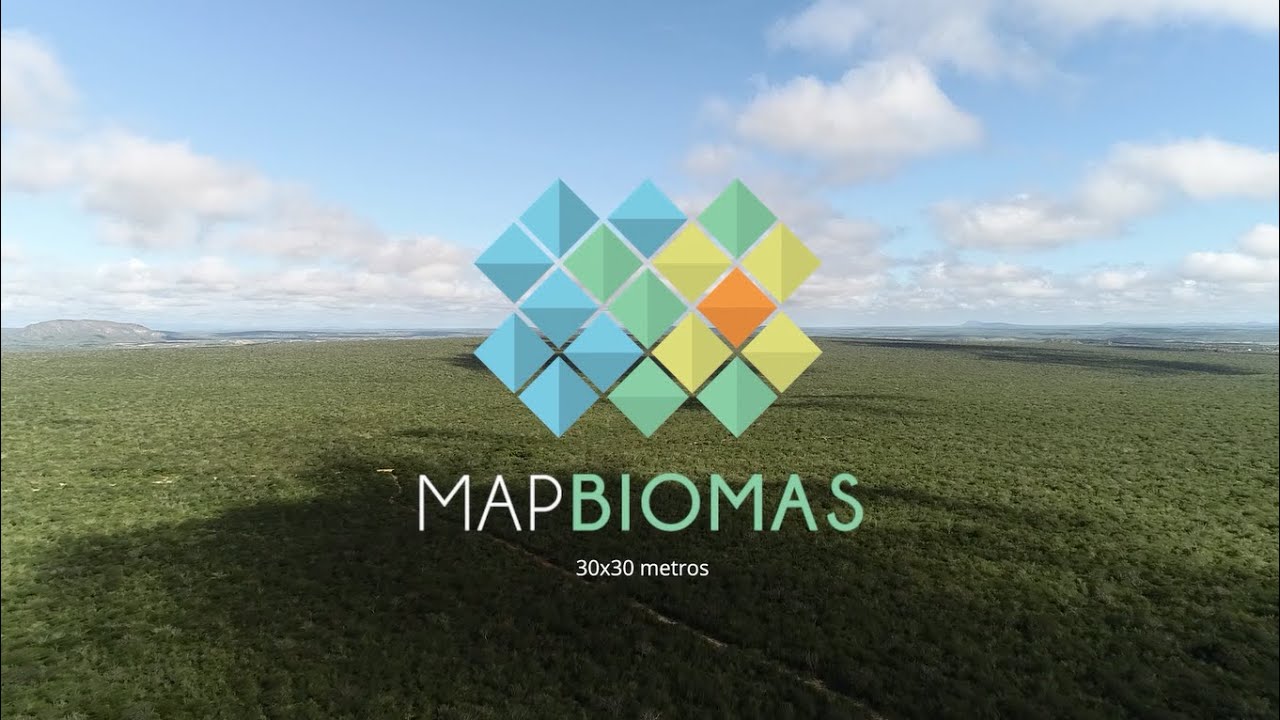 Projeto MapBiomas e o PPGM/UEFS alertam sobre os riscos de ...