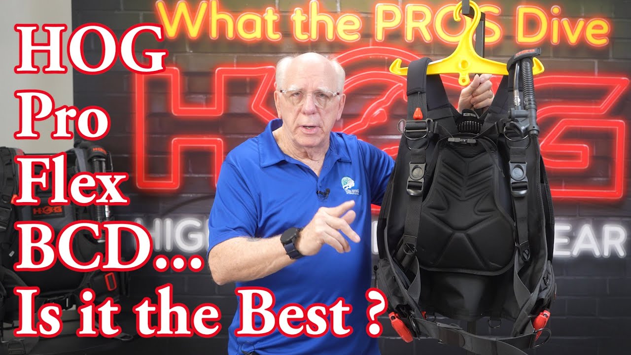 2025 HOG Pro Flex Adjustable BCD Is It The Best - YouTube