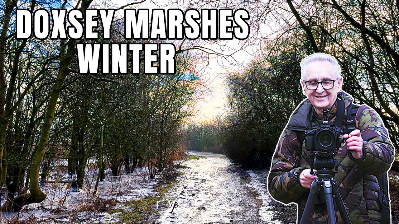 Doxsey Marshes Winter 2025 | Stunning British Wildlife in 4K UHD - YouTube