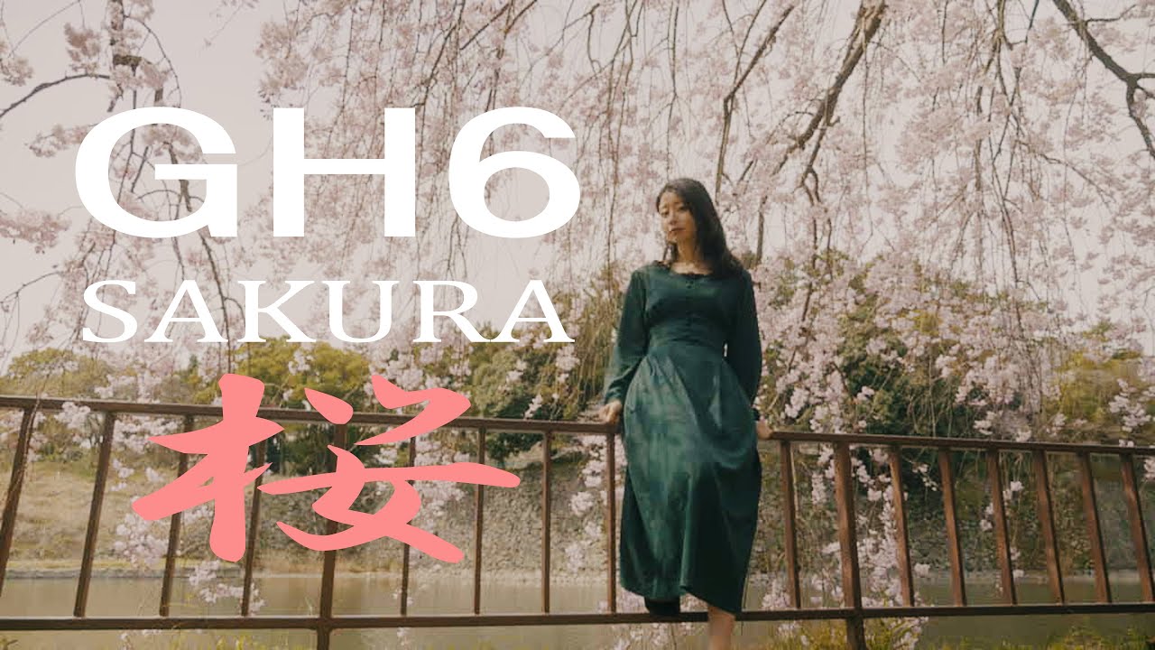 Panasonic Lumix GH6 // Cinematic Portrait // 桜 sakura // Vlog // shoot GH6 // 4K 422 10bit - YouTube