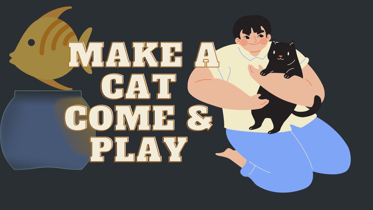 How To Get My Cat To Sit Next To Me HOW TO MAKE A CAT COME TO YOU how-to-get-my-cat-to-sit-next-to-me-how-to-make-a-cat-come-to-you