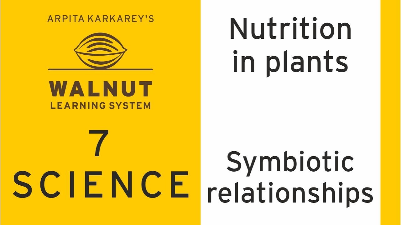 7 Science - Nutrition in plants - Symbiotic relationships - YouTube