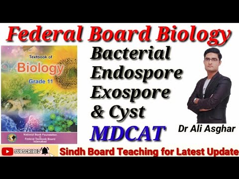 Bacterial Endospore, Exospore and Cyst (Federal Board Biology) #mdcat ...