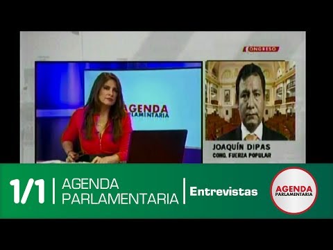 Entrevista al congresista Joaquín Dipas