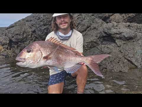 Snapper off the rocks on soft baits - NZ Files. - YouTube