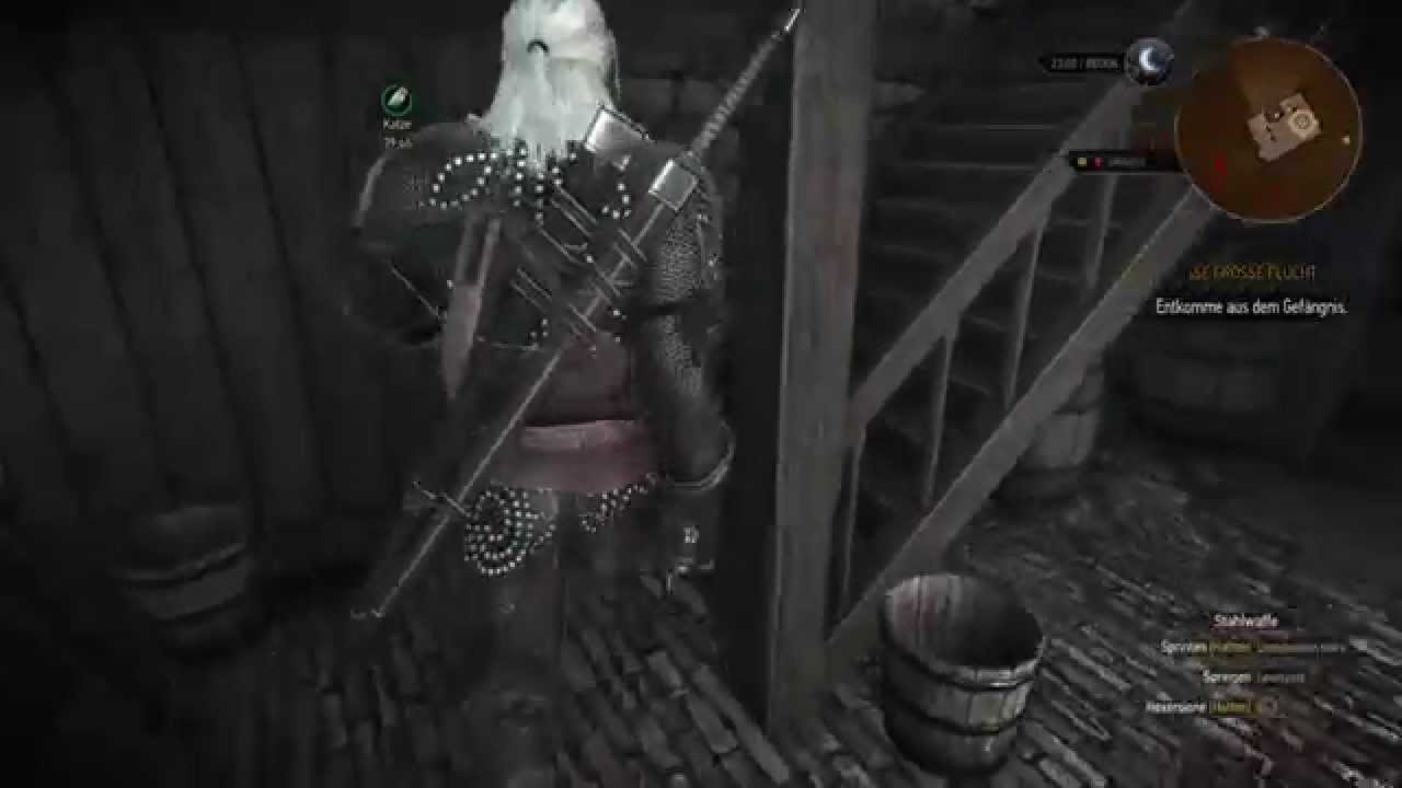 The Witcher 3: Funny Visual Bug after killing Sheala de Tancarville ...