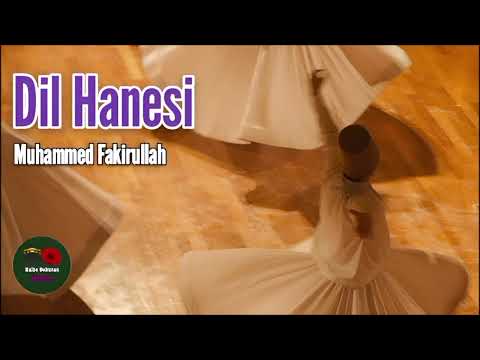 Dil Hanesi -Muhammed Fakirullah