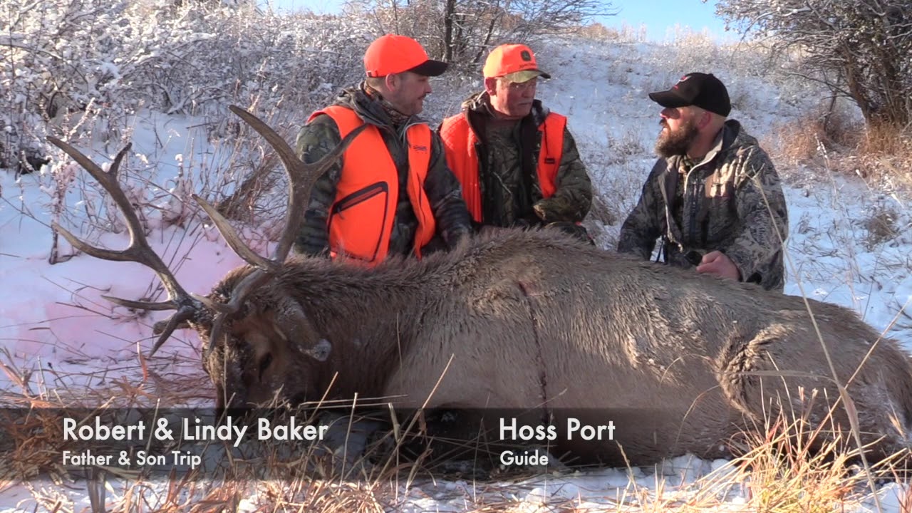 Father & Son each take big bulls in Colorado - YouTube